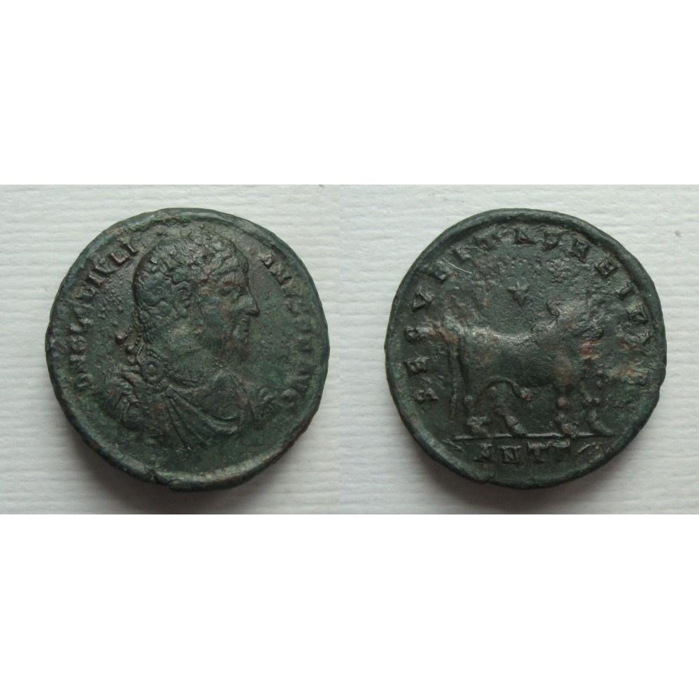 Julian II - BULL Antioch! (JA2244) - Bull (palm)ANTΓ(palm ...