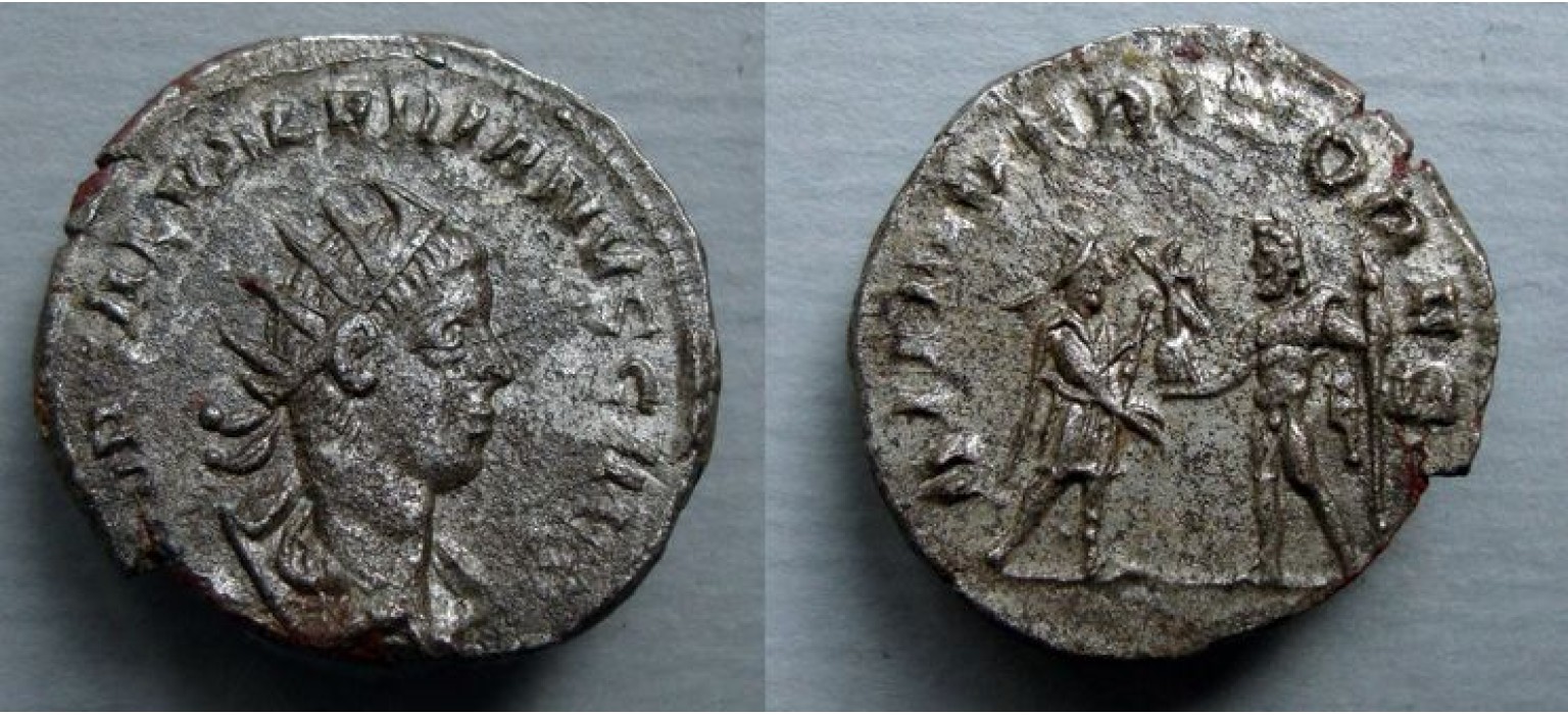Saloninus - zeldzame legenda! (MA21122) - DII NVTRITORES ...