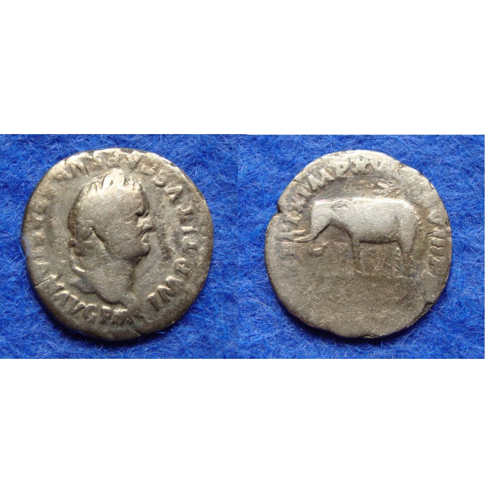Titus - Elephant RARE (O1851) - Elephant | RomanCoinShop.com