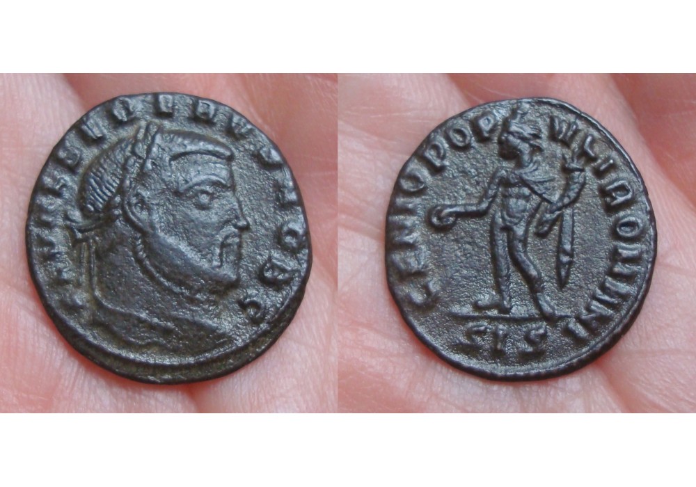 Severus II archive | RomanCoinShop.com