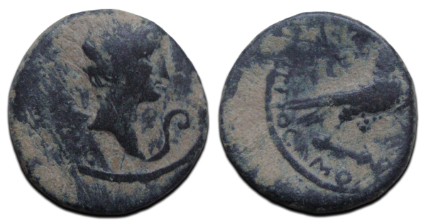 Augustus - Eagle Amorium (D2528) - IVLIA TRAD | RomanCoinShop.com