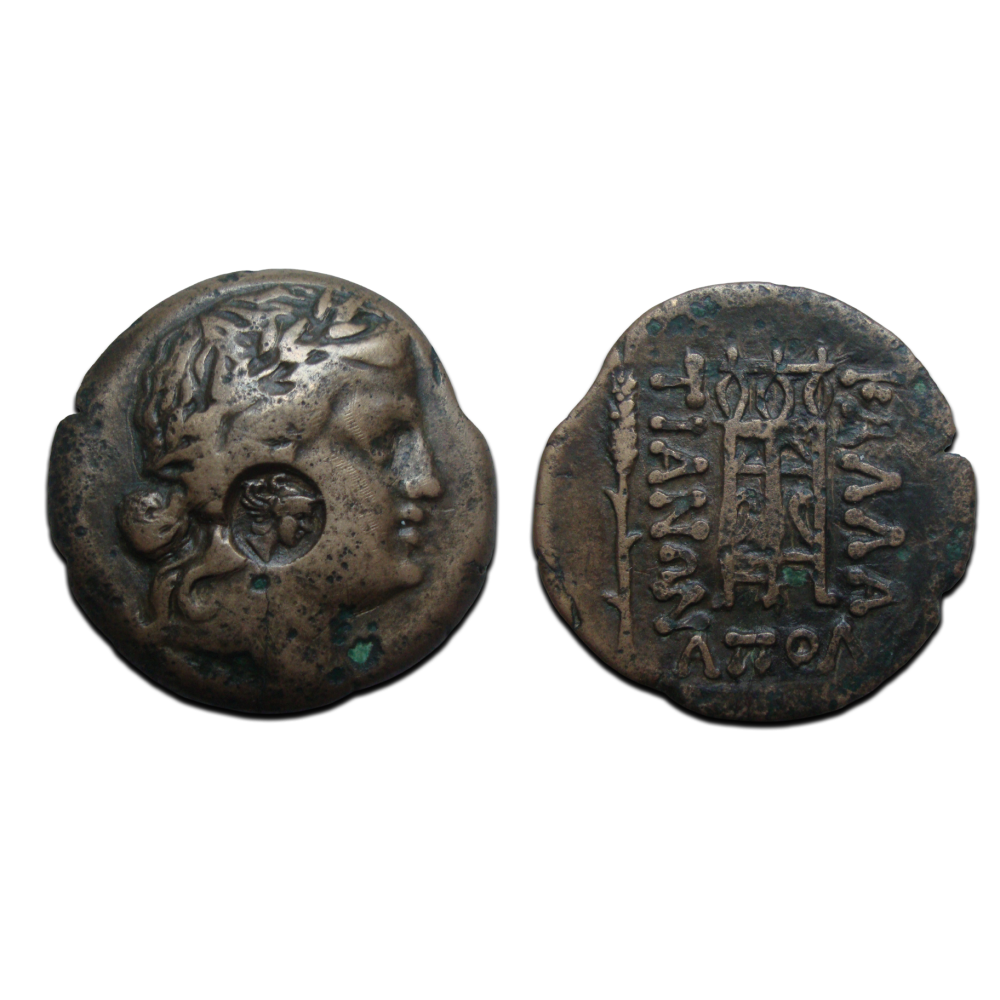 Greek Coins - Apollo Kallatis (D2542) - Apollo kallatis | RomanCoinShop.com