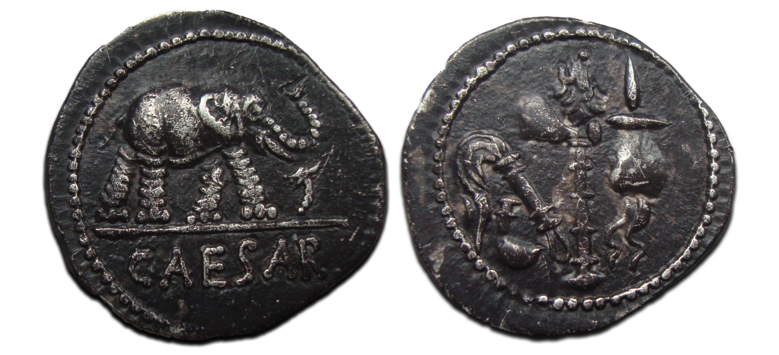 Julius Caesar - denarius Caesar elephant! MUST HAVE (F2588) - Elephant ...
