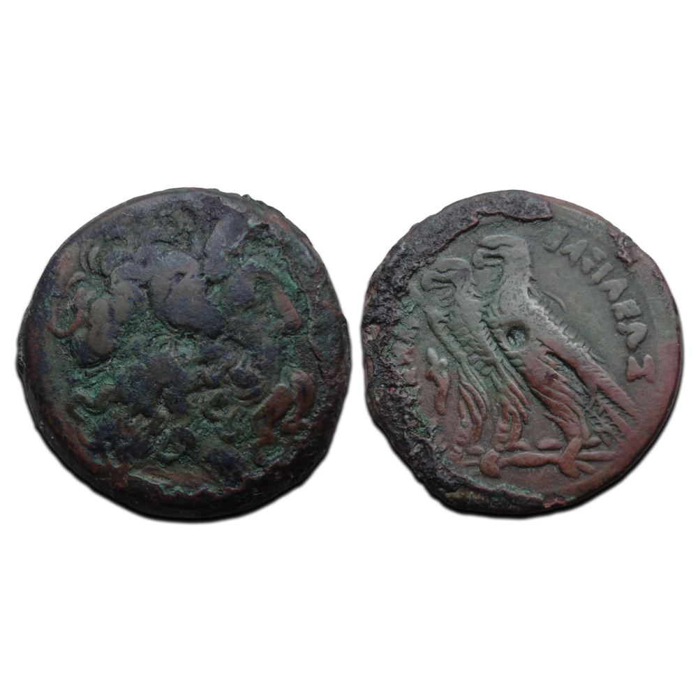 Greek Coins - Ptolemy VI I heavy coin! (F26110) - Ptolemy VI zeus ...