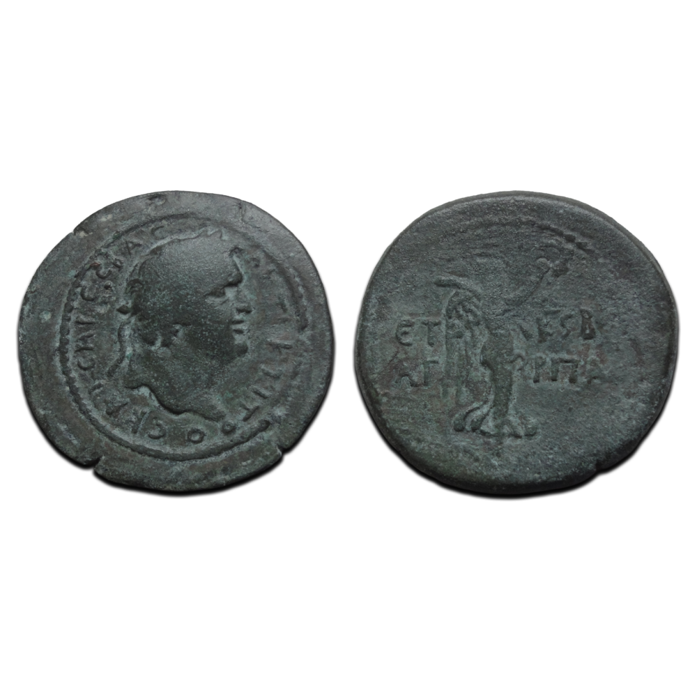 Titus - Judaea Agrippa II rare! (JA2663) - Agrippa II | RomanCoinShop.com