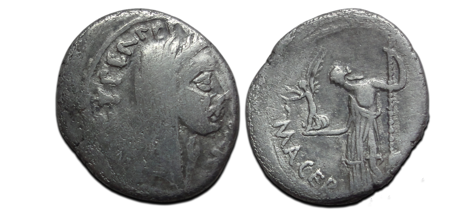Julius Caesar - denarius with portrait of Caesar rare! (JA2670) - Venus ...