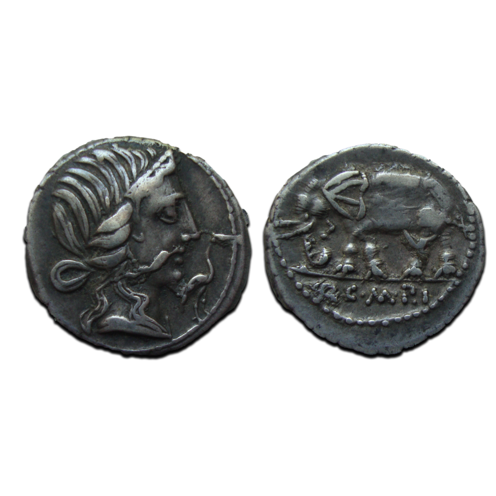 Roman Republic - Q . Caecilius Metellus denarius Elephant (JUL2509) - Q ...