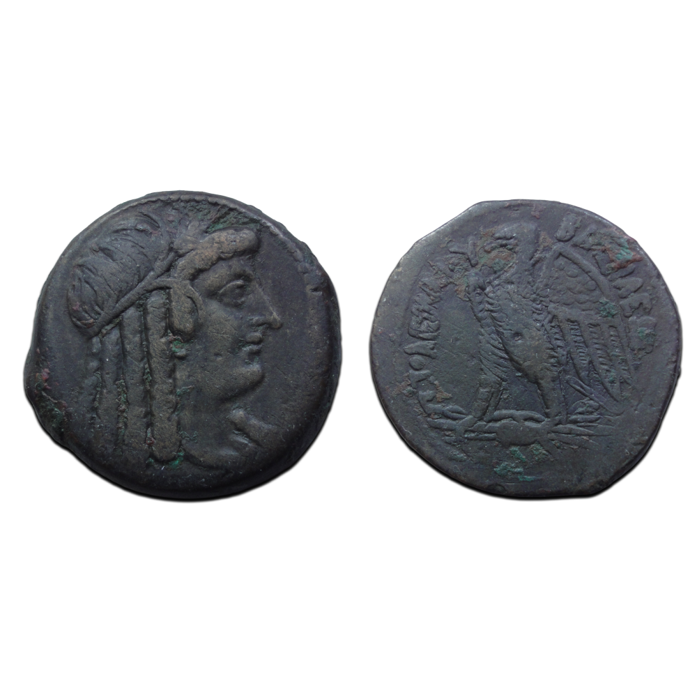 Griekse munten - Ptolemaeus V ISIS mooie, zware munt! (JUN2650) - Isis ...