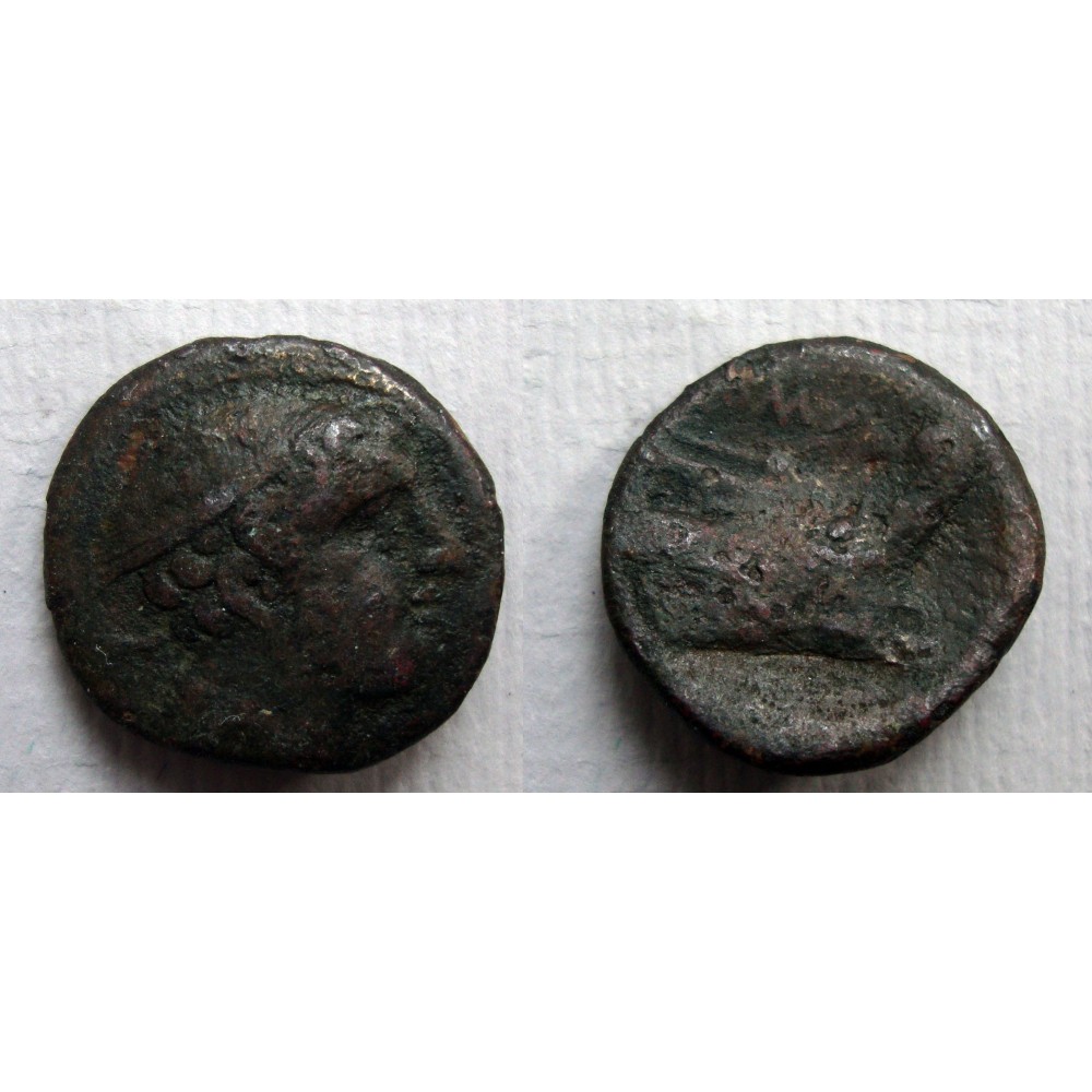 Roman republic - uncia with Roma 215 BC! (S2199) - uncia roma ...
