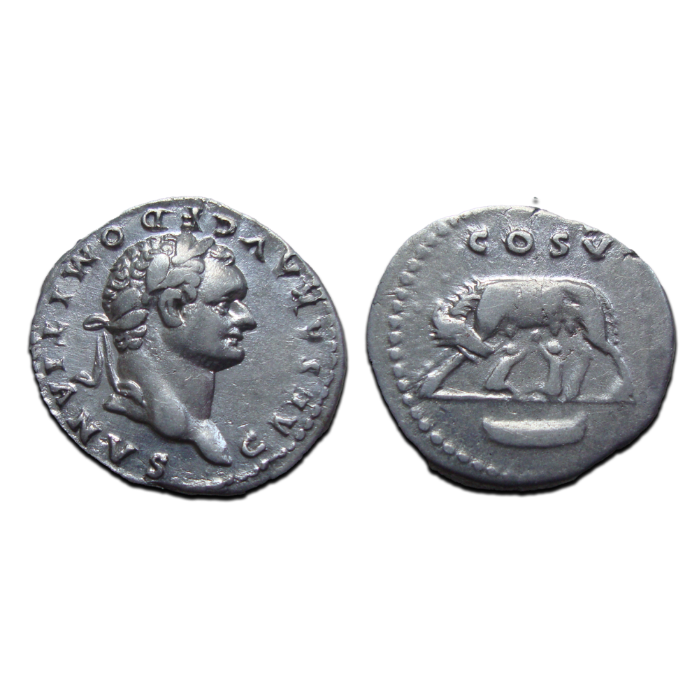 Domitianus - denarius She wolf Remus and Romulus! (N2522) - She wolf ...