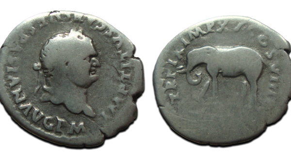 Titus - denarius Elephant! (O25113) - Elephant denarius | RomanCoinShop.com