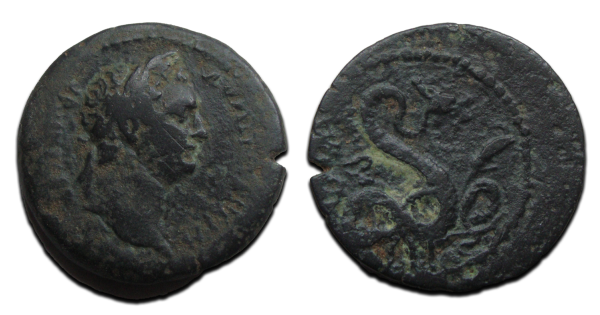 Domitian - Diobol with snake Agathodaemon extremely rare (O2522 ...