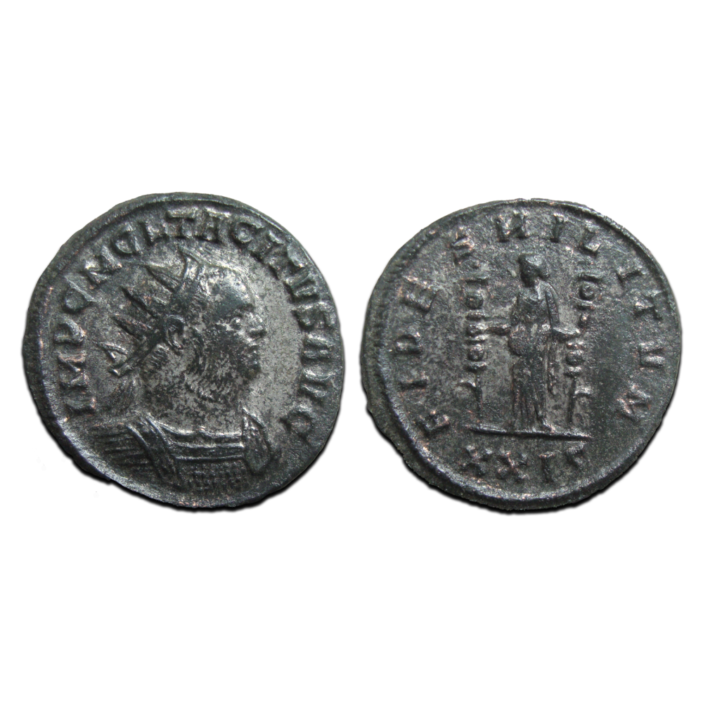 Tacitus - FIDES SIlvered! (S2588) - FIDES MILITVM bare bust with ...