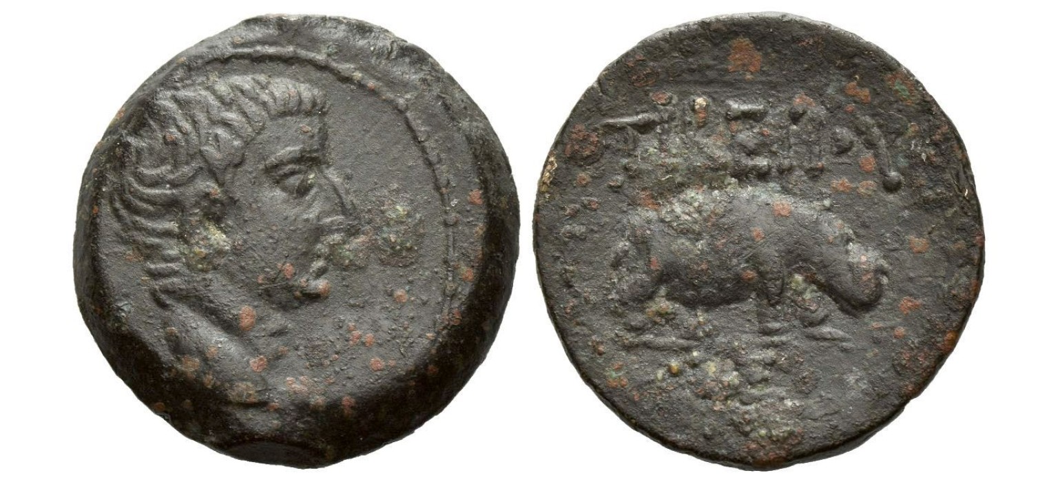 Tiberius - fist appearance of a hippo in numismatics! (S2598 ...