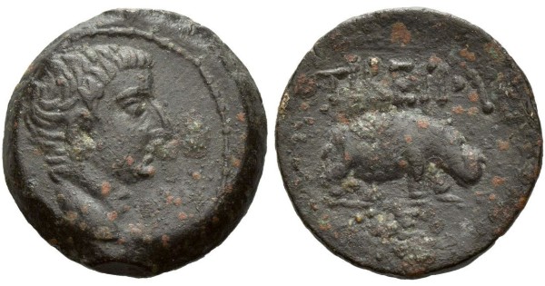 Tiberius - fist appearance of a hippo in numismatics! (S2598 ...
