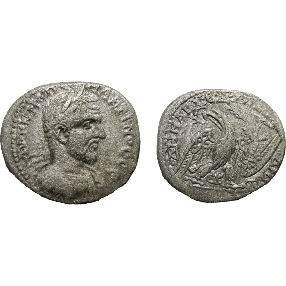 Macrinus - tetradrachm Eagle Byblus! (AU22102) - Tetradrachm eagle ...