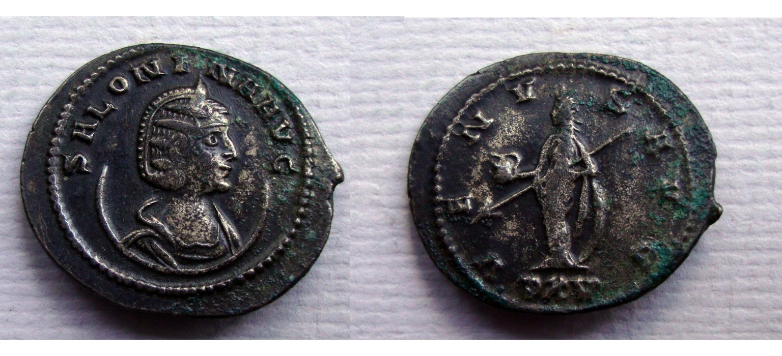 Salonina - VENUS (AU22109) - Venvs Avg | RomanCoinShop.com