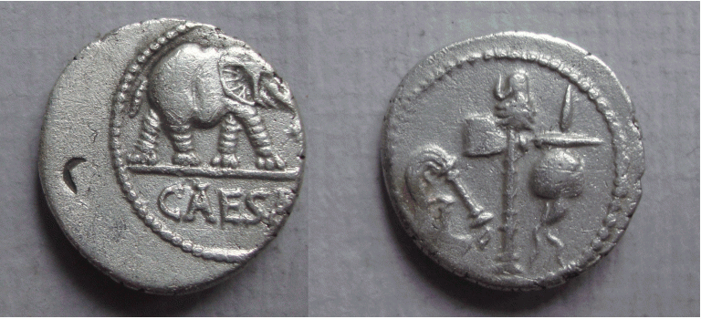 Julius Caesar - denarius Caesar elephant! MUST HAVE (N2250) - Elephant ...