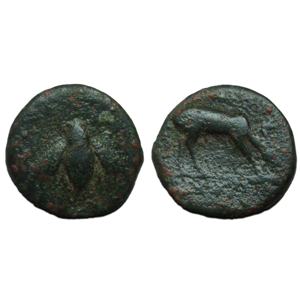 Greek coins - Bee and Stag Ephesos (AU23157) - Bee Ephesos ...
