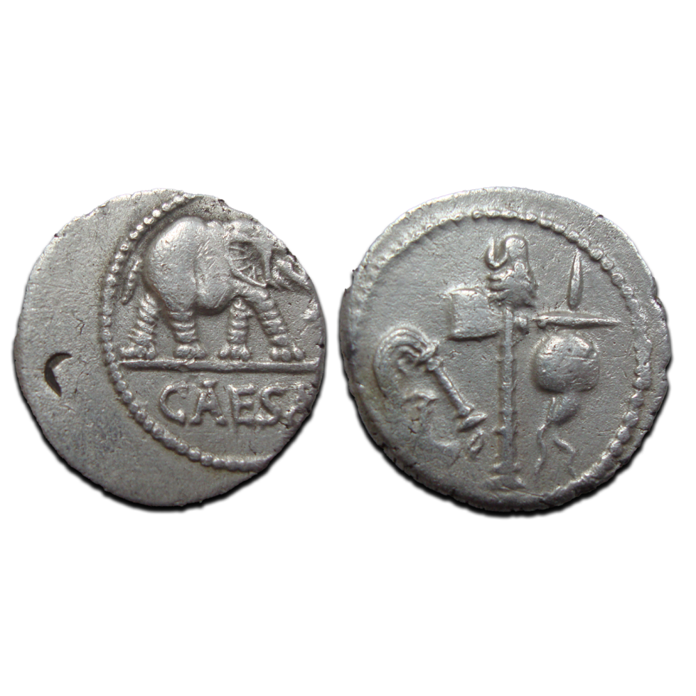 Julius Caesar - denarius Caesar elephant! MUST HAVE (N2250) - Elephant ...