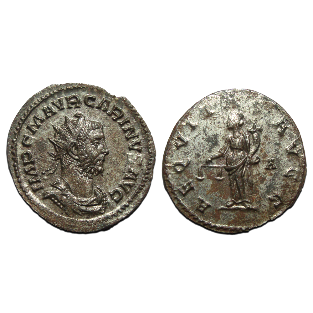 CARINUS - AEQVITAS EF! SILVERED (F2365) - AEQVITAS AVGG Lyons ...