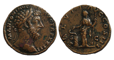 Titus - denarius Elephant! (JUL2362) - Elephant denarius ...