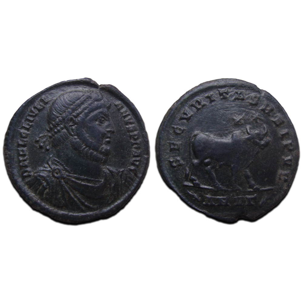 Julian II - BULL Antioch! (JA2487) - Bull (palm)ANTΓ(palm ...