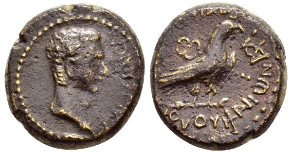 Caligula - Amorium eagle (JUL2378) - Amorium eagle | RomanCoinShop.com