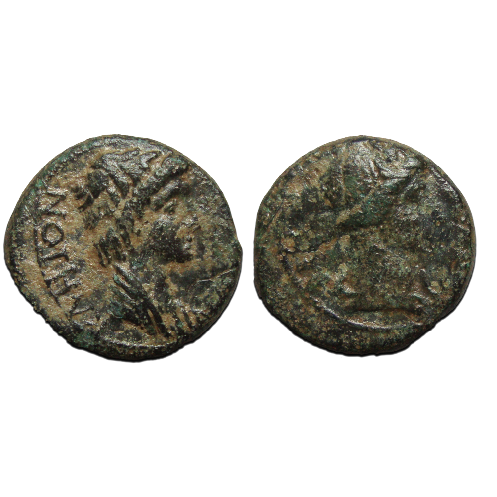Pergamum - the Senate and Rome (JUN23111) - Senate and Roma pergamon ...