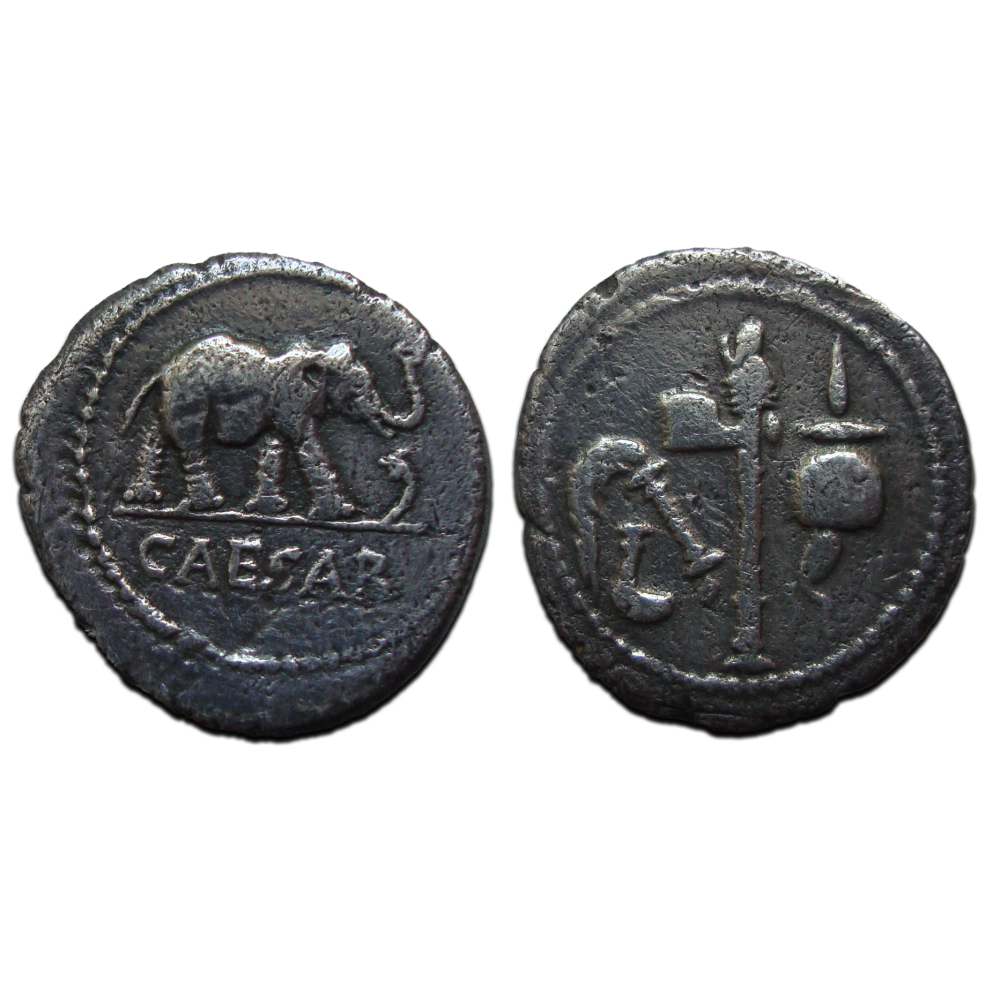 Julius Caesar - denarius Caesar elephant! MUST HAVE (JUN2359 ...