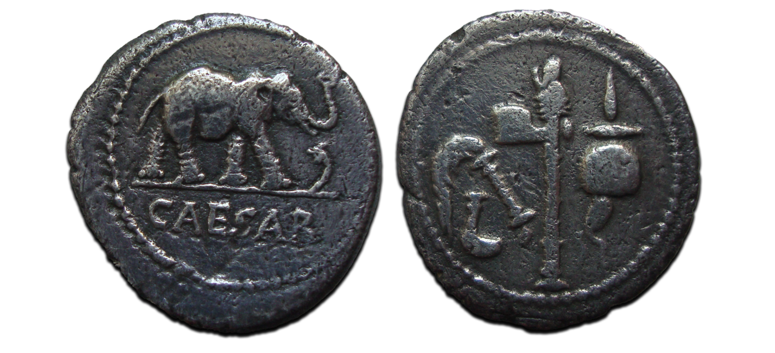 Julius Caesar - denarius Caesar elephant! MUST HAVE (JUN2359 ...