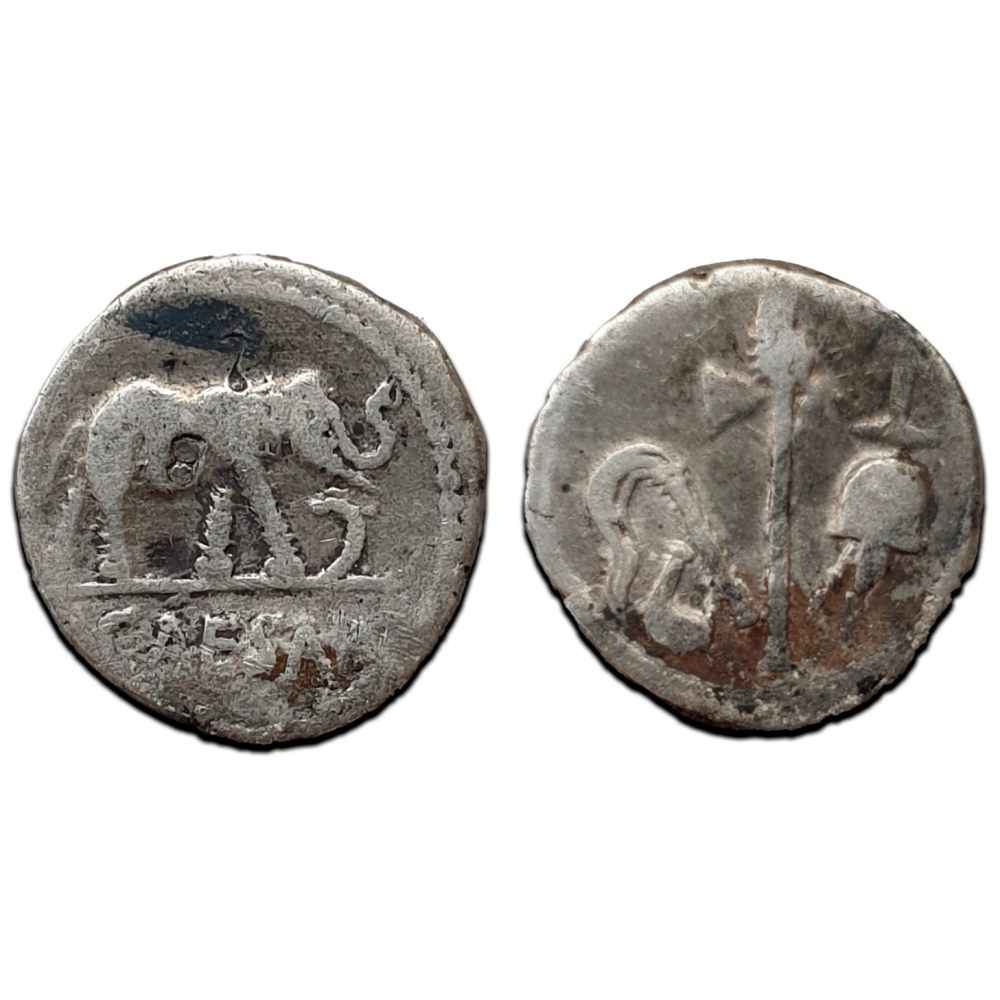 Julius Caesar - denarius Caesar elephant! MUST HAVE (D2225) - Elephant ...