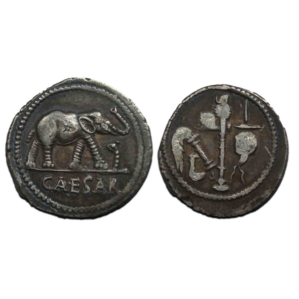 Julius Caesar - denarius Caesar elephant! MUST HAVE (O2347) - Elephant ...