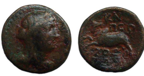 Greek coins - Astarte Arados (MA2404) - Astarte arados | RomanCoinShop.com