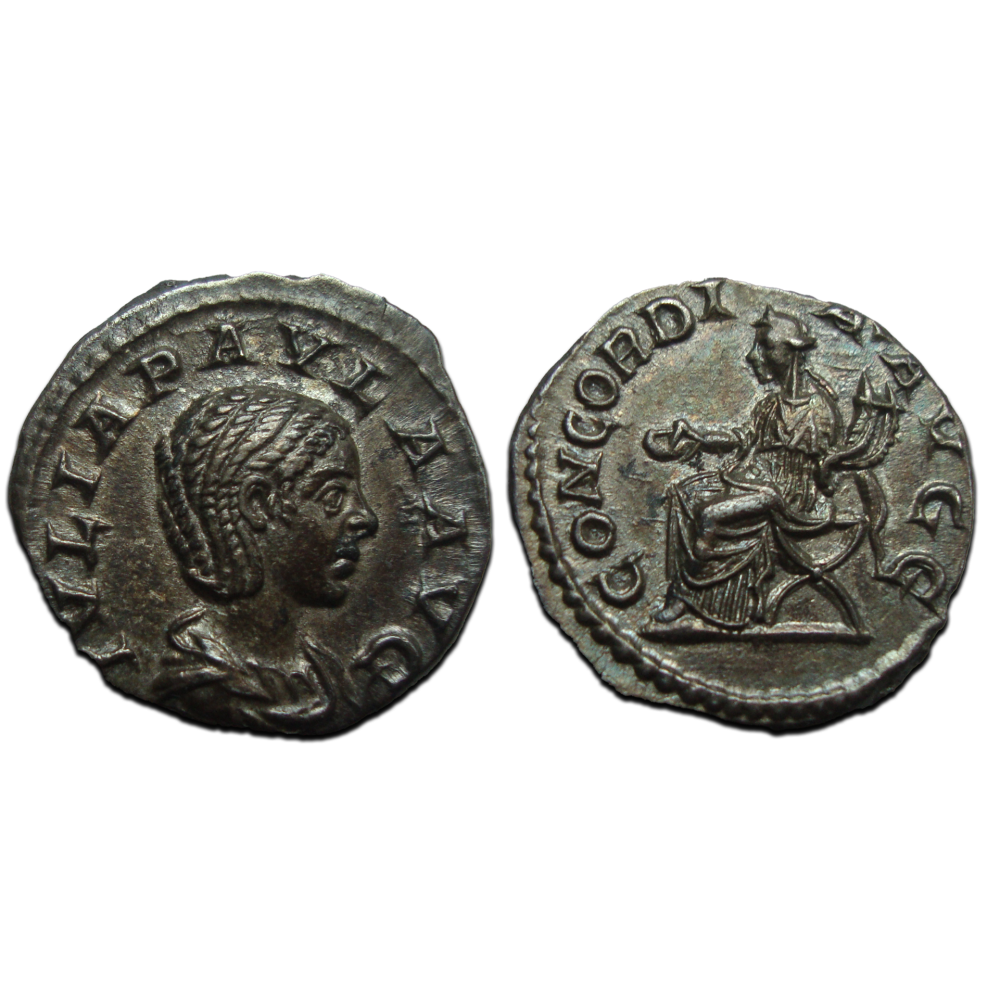 Julia Paula - denarius CONCORDIA gem coin! (ME2414) - Concordia, no ...