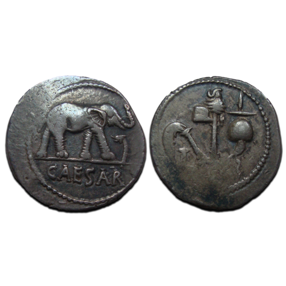 Julius Caesar - denarius Caesar elephant! MUST HAVE (O2347) - Elephant ...