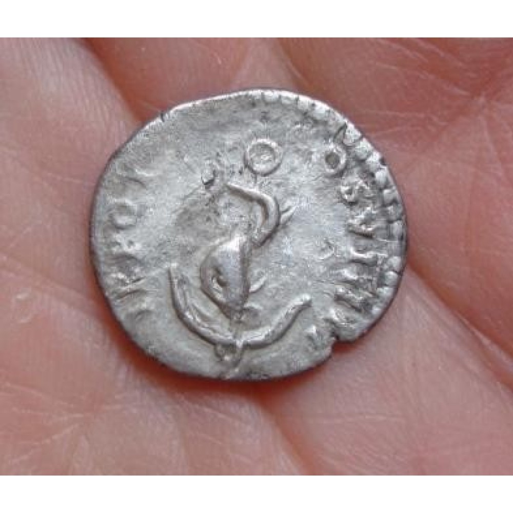 Domitian - Dolphin with Anchor! - Dolfijn anker | RomanCoinShop.com