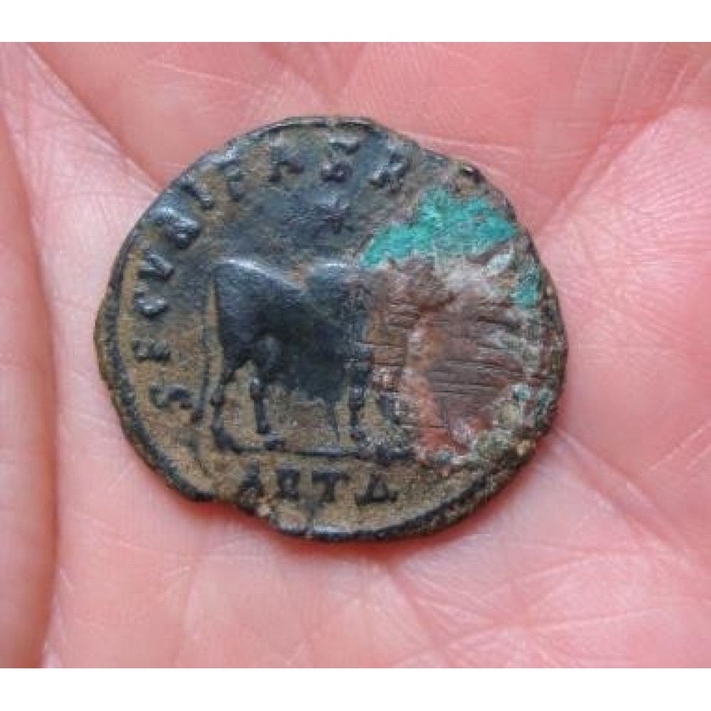 Julian II -BULL! - Stier | RomanCoinShop.com