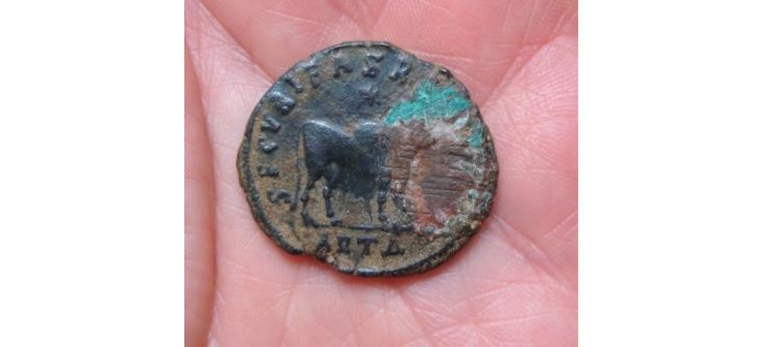 Julian II -BULL! - Stier | RomanCoinShop.com