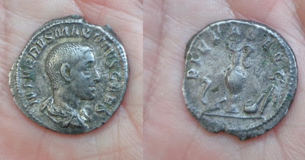 Maximus - PIETAS denarius rare! (S1615) - PIETAS denarius ...